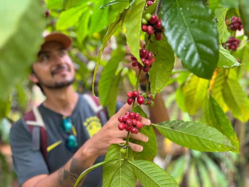 Las Terrenas: Private Coffee Trail ATV Tour in Samana - Visiting a Traditional Mountain Farm