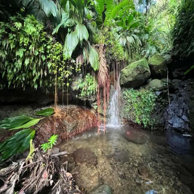 Lawyer Stephen Hike with Waterfall and Cave Hike - The Value of the Waterfalls and Cave