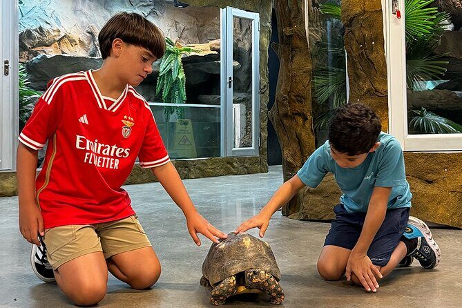 Learn about the All Inclusive Science Park - Value and Practical Considerations