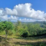 Lethe Mountain Valley Hiking - What Makes This Tour Special?