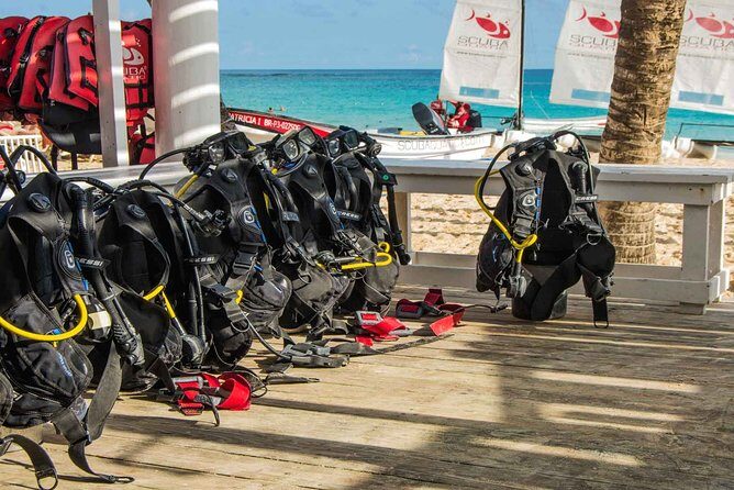 Local diving Bávaro -Double tank - Analyzing the Value and Real Experience