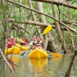 Los Haitises All One: Kayaking, Hiking, Boat, and Swimming - What We Love and Consider