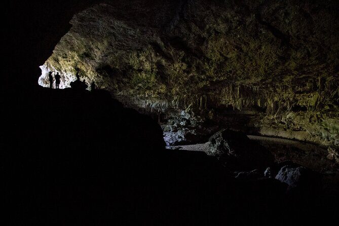 Los Haitises and Cayo Levantado Tour - The Itinerary Breakdown