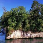 Los Haitises & Cayo Levantado (Lunch included, from Samana in Catamaran or Boat) - What to Expect from the Experience