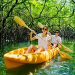 Los Haitises: Hiking and Kayaking natural pools Tour & Lunch - Practical Tips for Your Visit