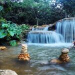 Los Haitises National Park: Boat Tour - What to Expect on the Tour