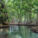 Los Haitises National Park: Boat Tour and Cave Visit - The Practical Side of the Tour