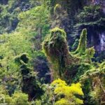 Los Haitises National Park Hiking + Kayaking (Private excursion) - The Practical Side: What’s Included and What’s Not