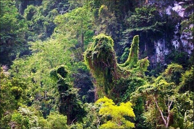 Los Haitises National Park Hiking + Kayaking (Private excursion) - The Practical Side: What’s Included and What’s Not