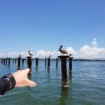 Los Haitises National Park, Montaña Redonda & Bacardi Island - What Travelers Love—and What to Consider