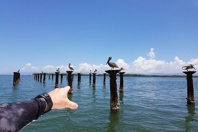 Los Haitises National Park, Montaña Redonda & Bacardi Island - What Travelers Love—and What to Consider