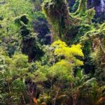 Los Haitises National Park private boat trip Caves and Mangrooves - The Sum Up: Who Should Consider This Tour?