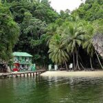 Los Haitises National Park Tour with Lunch from Punta Cana - Practical Details and What You Should Know