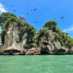 Los Haitises: Private Boat Tour from Caño Hondo Port - Practical Details and What to Expect