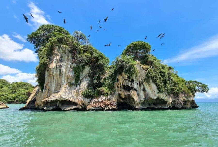 Los Haitises: Private Boat Tour from Caño Hondo Port - Practical Details and What to Expect