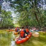 Los Haitises: Sunrise or Sunset wildlife focus - Itinerary Breakdown