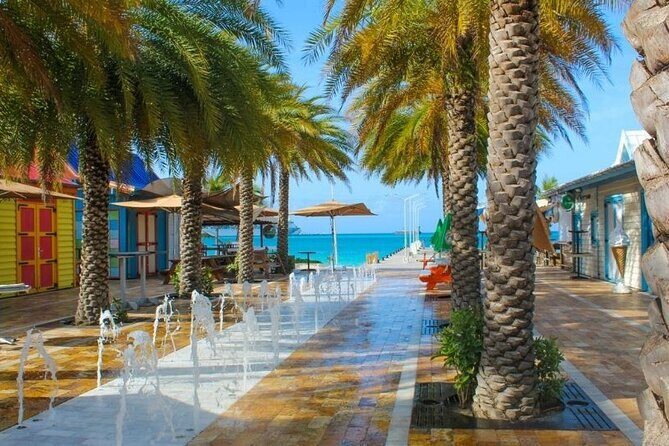 Lottery Farm, French St. Martin and Dutch Philipsburg Tour - The Optional Zip Line – Is It Worth It?