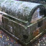 Luminous Lagoon and Rose Hall Haunted Great House Night Tour - The Marvel of Luminous Lagoon