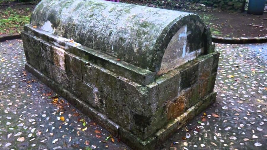 Luminous Lagoon and Rose Hall Haunted Great House Night Tour - The Marvel of Luminous Lagoon