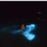 Luminous Lagoon Experience: Ocho Rios Runaway Bay & Falmouth - What Makes the Luminous Lagoon Tour Special?