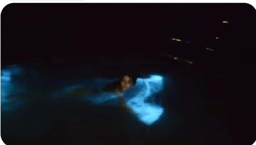 Luminous Lagoon Experience: Ocho Rios Runaway Bay & Falmouth - What Makes the Luminous Lagoon Tour Special?