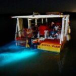 Luminous Lagoon Glow in the Dark Boat Tour from Montego Bay - Why This Tour Is Worth Considering