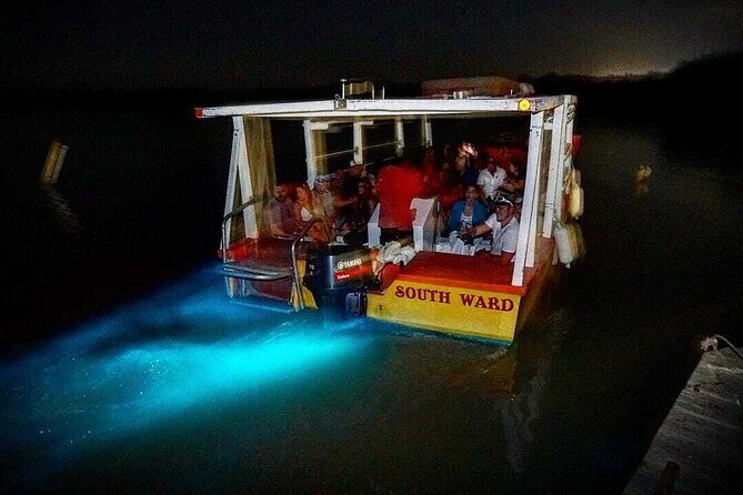 Luminous Lagoon Glow in the Dark Boat Tour from Montego Bay - Why This Tour Is Worth Considering