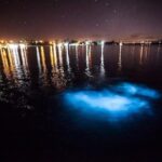 Luminous Lagoon Magical Tour - Key Points