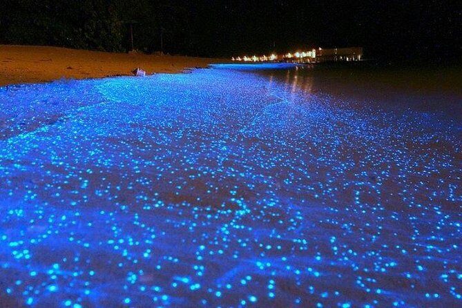 Luminous Lagoon Night-Time Tour from Montego Bay - Pricing and Value: Is It Worth It?
