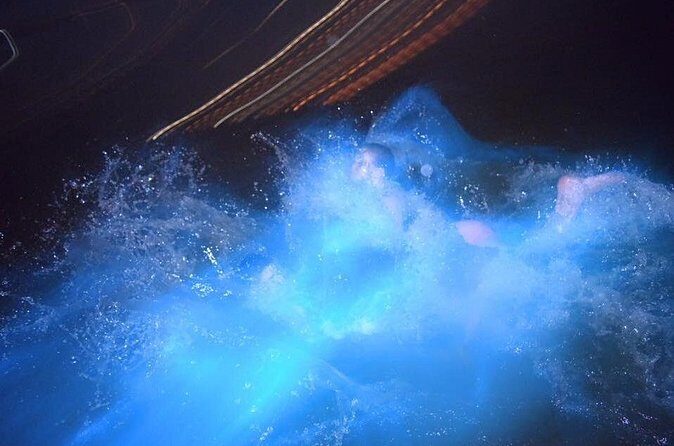 Luminous Lagoon Night Tour from Montego Bay - What Makes This Tour Stand Out?