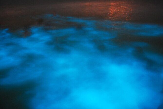 Luminous Lagoon Night Tour from Montego Bay - Why This Tour Stands Out