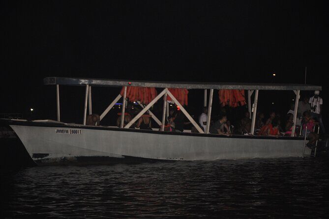 Luminous Lagoon Night Tour from Montego Bay - The Highlights and What Makes It Special