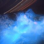 Luminous Lagoon Night Tour from Ocho Rios - The Realities of the Experience: Pros and Cons