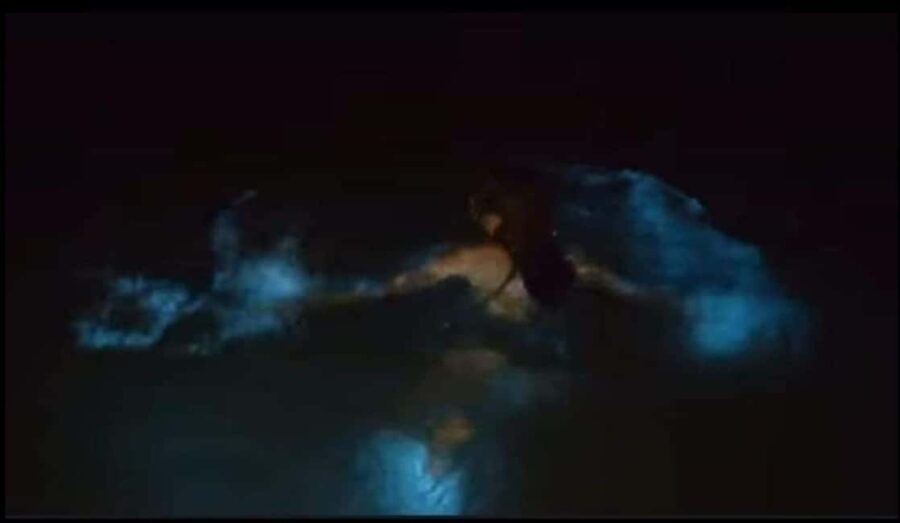 Luminous lagoon : Night Tour from Ocho Rios and Runaway Bay - The Itinerary in Detail