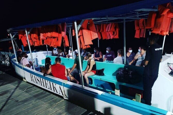 Luminous Lagoon Private Night Tour From Negril - Who Should Consider This Tour