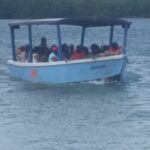 Luminous Lagoon Tour from Montego Bay & Rosehall Hotels - Diving Into the Details: What the Tour Offers