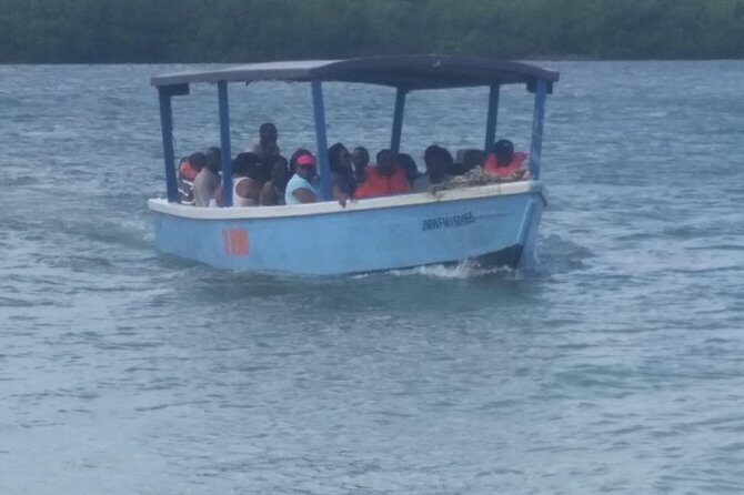 Luminous Lagoon Tour from Montego Bay & Rosehall Hotels - Diving Into the Details: What the Tour Offers