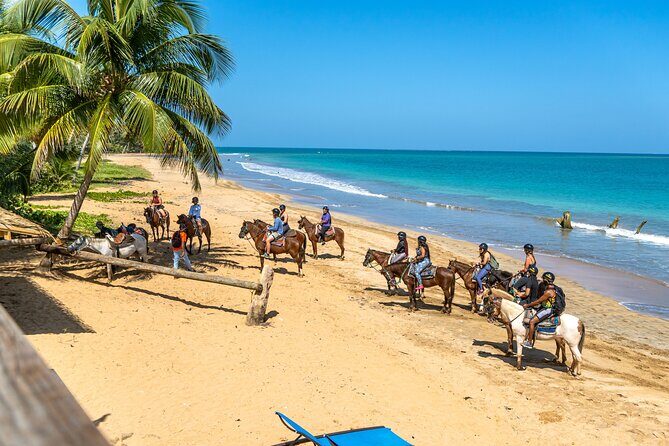 Luquillo Beach Horse Ride from Carabalí Rainforest Adventure Park - The Unique Experience of Riding Through Water and Forest