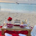 Luxury Private Picnic with Caribbean Cuisine - What About the Price?