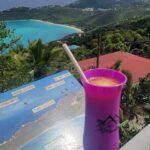 Luxury Private Tour in ST.Thomas(6per group) - Who Will Love This Tour?