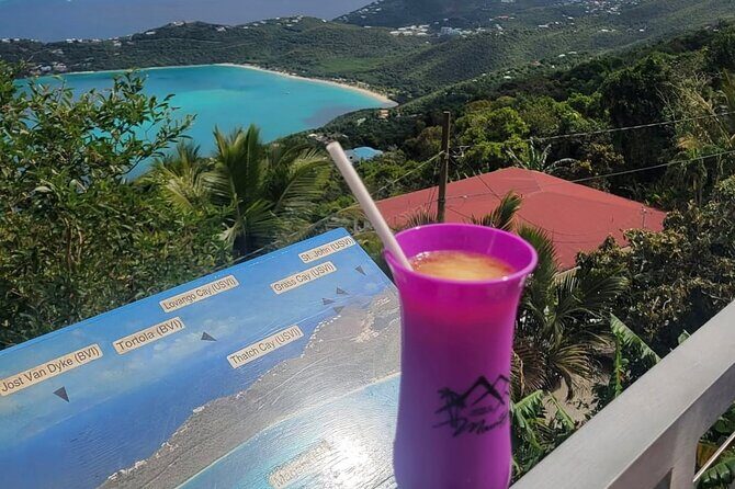 Luxury Private Tour in ST.Thomas(6per group) - Who Will Love This Tour?