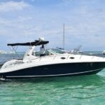 Luxury Private Yacht (37ft) Snorkeling & Natural Pool, Punta Cana - Authentic Experiences & What Travelers Say