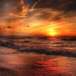 Luxury Sunset Party Boat - The Practical Side: What You Need to Know