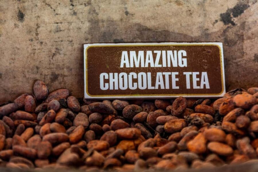 Macao Beach: Buggy Safari and Cenote Swimming with Pickup - Who Will Love This Tour?