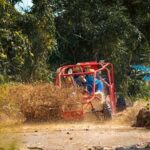 Macao Punta Cana Adventure - Authentic Experiences and Real Traveler Insights