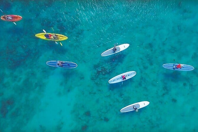 Magic Mangrove Paddle in Beef Island Lagoon - The Practicalities: Planning Your Paddling Adventure