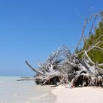 Mamma Gal Celeb-Key Native Exp. Shared Tour - Who This Tour Is Best For