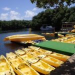 Mangrove Lagoon Kayak Rental in St Thomas - The Route and What to Expect