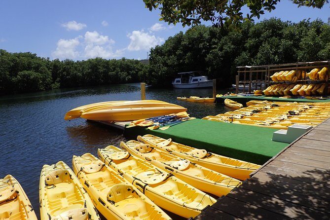 Mangrove Lagoon Kayak Rental in St Thomas - The Route and What to Expect