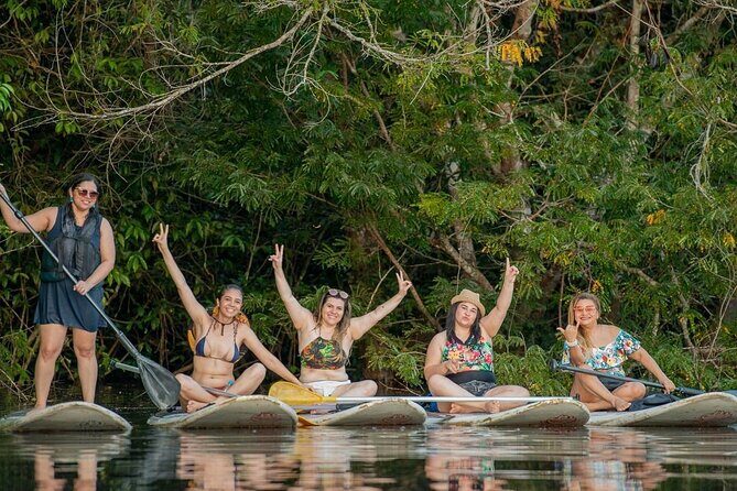Mangrove Paddle Ride Sainte Anne Guadeloupe - What to Expect on the Tour